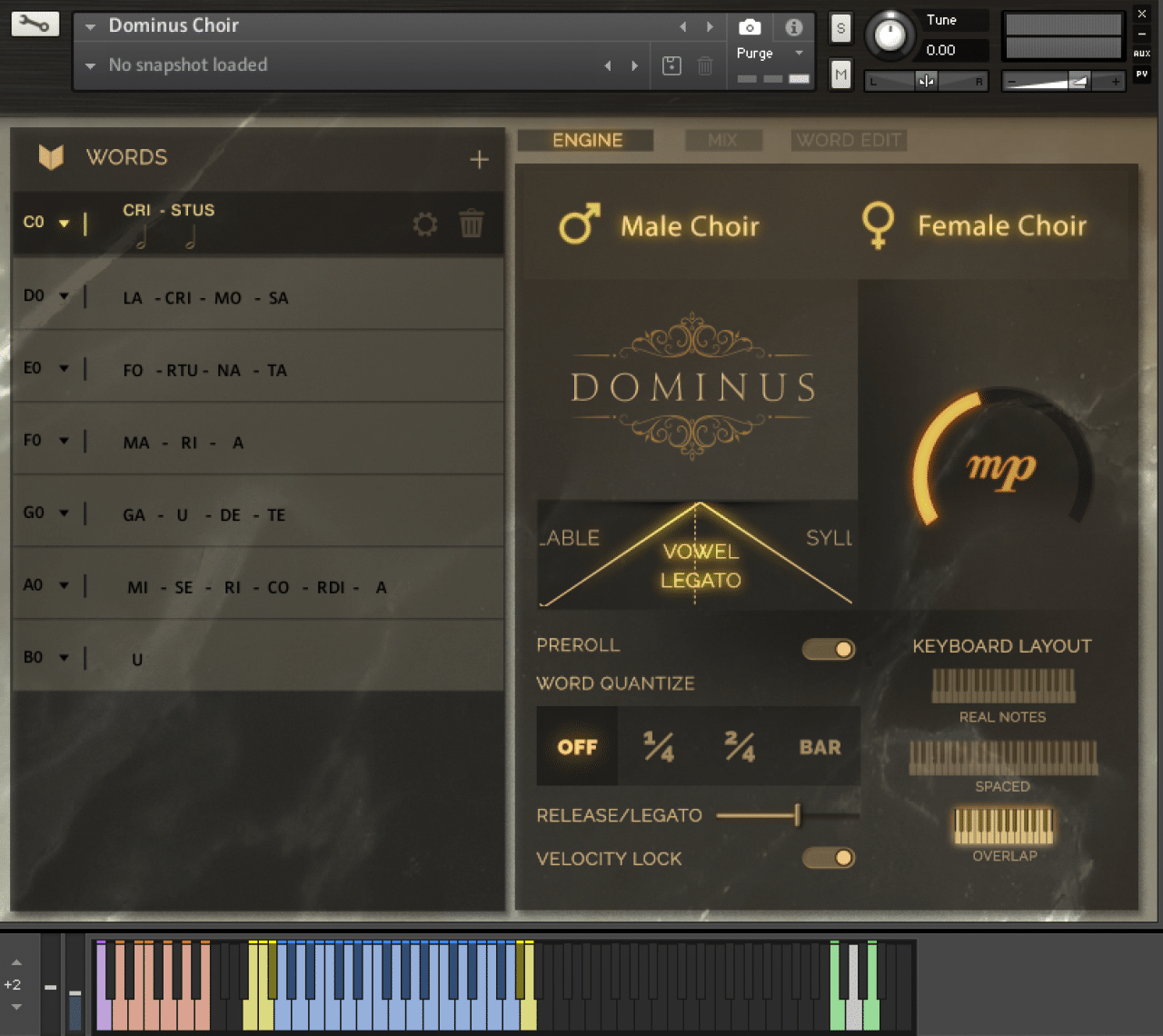 Dominus Choir | FluffyAudio
